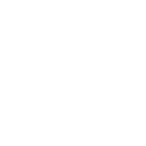 Security Guards & Patrols | Talon Protection Group