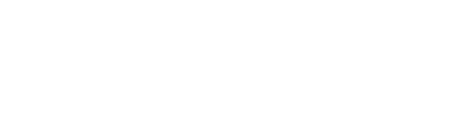Security Guards & Patrols | Talon Protection Group