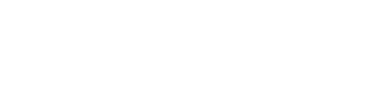 About | Talon Protection Group